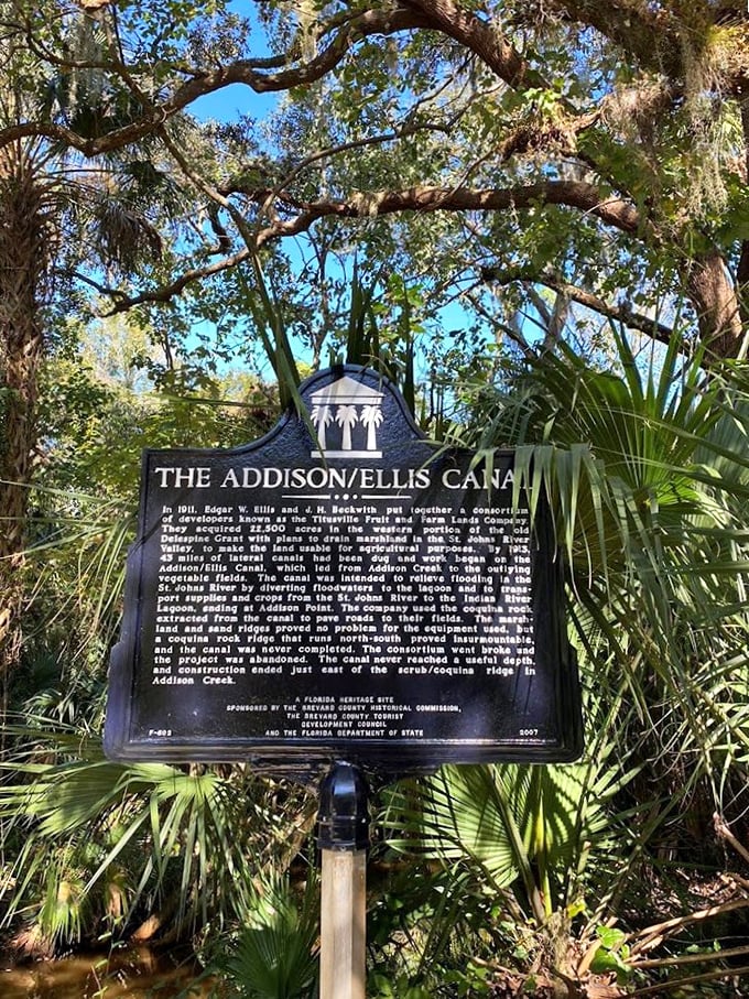 History stands sentinel in the forest &ndash; the Addison/Ellis Canal marker tells tales of ambitious 1911 engineering that Mother Nature ultimately overruled.