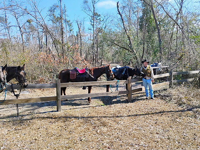 These patient equine companions await their next adventure, proving that horseback might be the most stylish way to explore Florida's natural wonders.