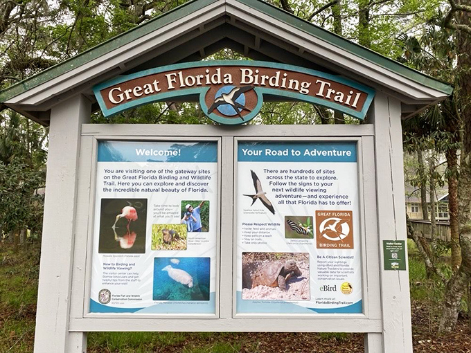 The Great Florida Birding Trail welcomes wing-watchers to paradise. Binoculars not included, but highly recommended!