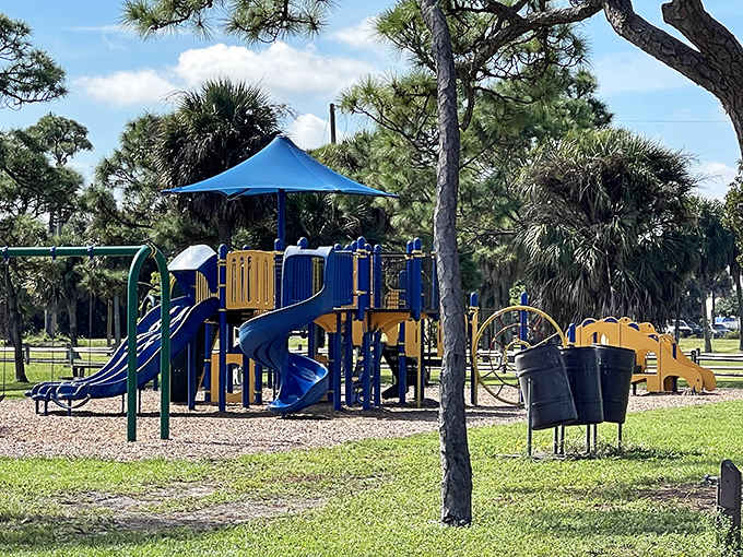 John Prince Park's playground stands ready for adventure, where kids burn energy while parents secretly wish they could join in.