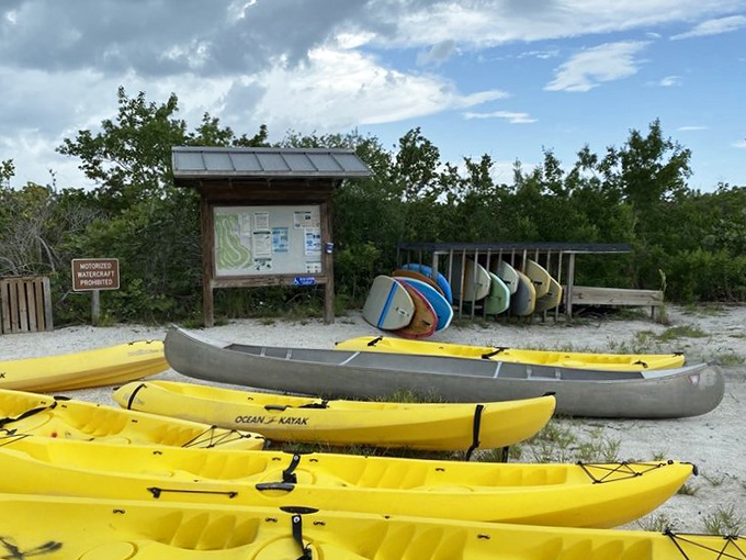 Kayak central &ndash; where yellow vessels wait like taxis, ready to transport adventurers into the park's watery wilderness.