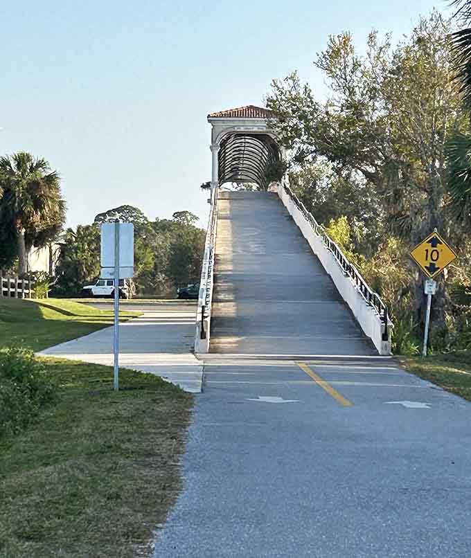 This covered bridge offers shade and elevation, giving you a bird's eye view without requiring actual wings or flight lessons.