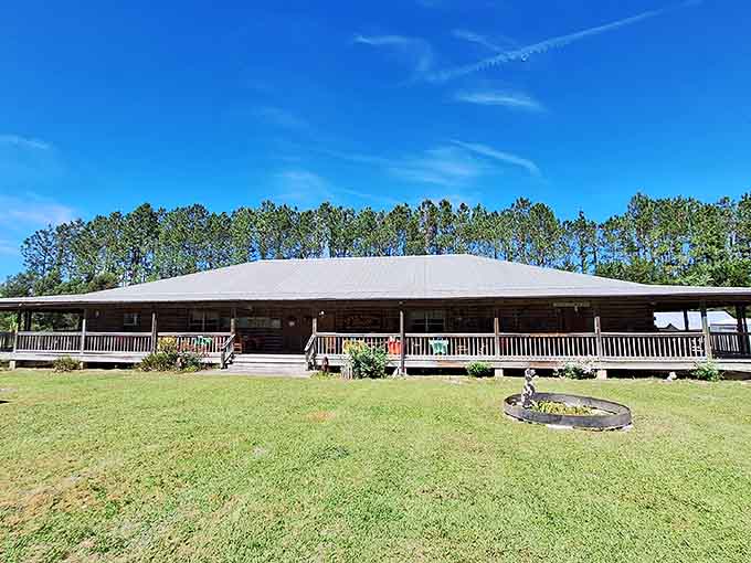This log cabin-style building houses textile treasures, because apparently quilts deserve better accommodations than most of us.