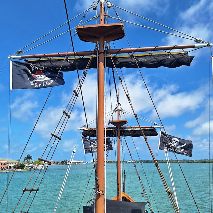 The view from the crow's nest, or as modern pirates call it, the perfect spot for your morning coffee and existential contemplation.