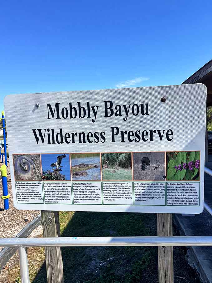 The preserve's welcome sign isn't just informative, it's your official invitation to step into a world where wildlife still runs the show and humans are just visiting.