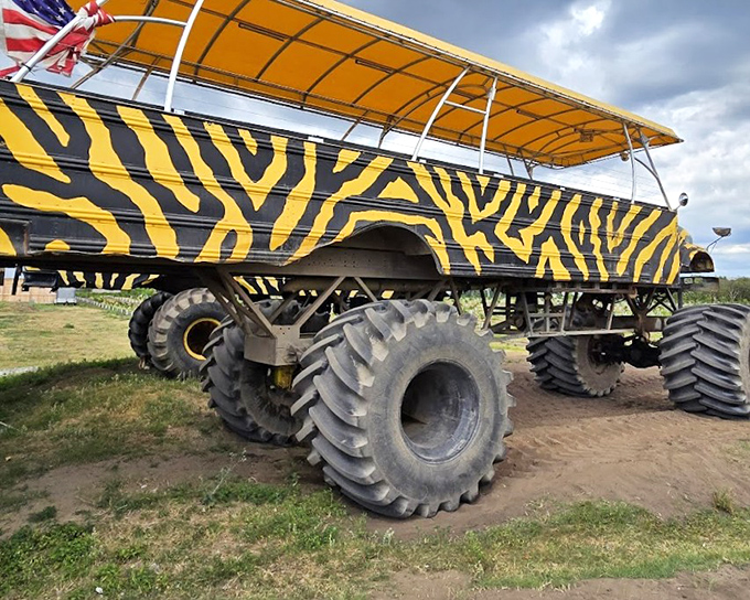 Those tires aren't just for show &ndash; they'll carry you over terrain that would swallow your rental car whole.