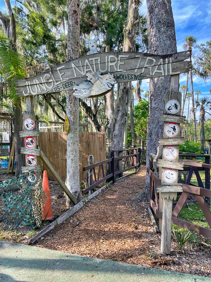 The Jungle Nature Trail promises encounters with panthers, wolves, and deer &ndash; though the most dangerous creature might be the Florida mosquito lurking between signs.