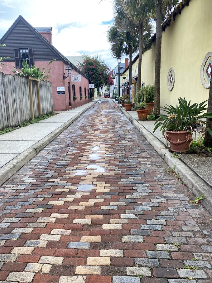 Palm trees swaying over centuries-old architecture create Florida's signature blend of tropical paradise and living history that you can't find anywhere else.