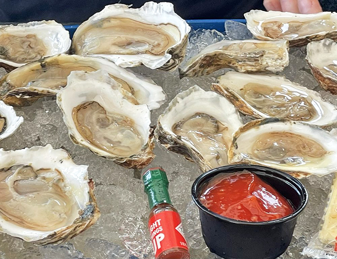 These plump, glistening oysters aren't just seafood; they're little cups of ocean essence waiting for a squeeze of lemon.