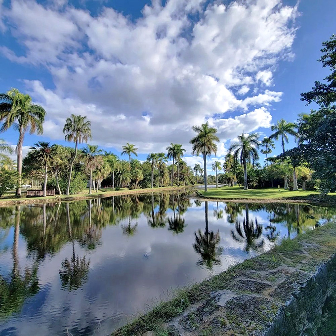 Palm trees stand like elegant sentinels around this reflecting pool, their perfect mirror images doubling the tropical splendor.