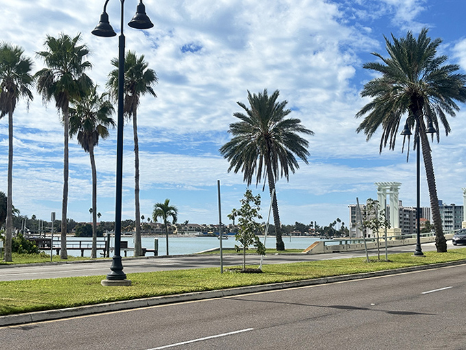 Palm sentinels stand guard along Treasure Island's waterfront boulevard, nature's own welcome committee for sun-seekers.