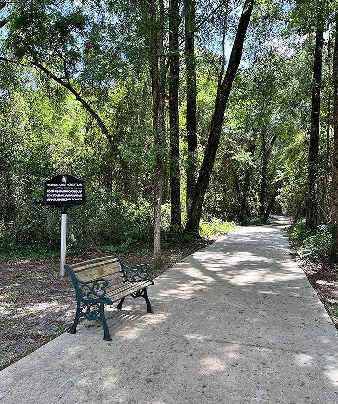 Nature provides the perfect frame for history &ndash; this shaded pathway invites visitors to step back in time.