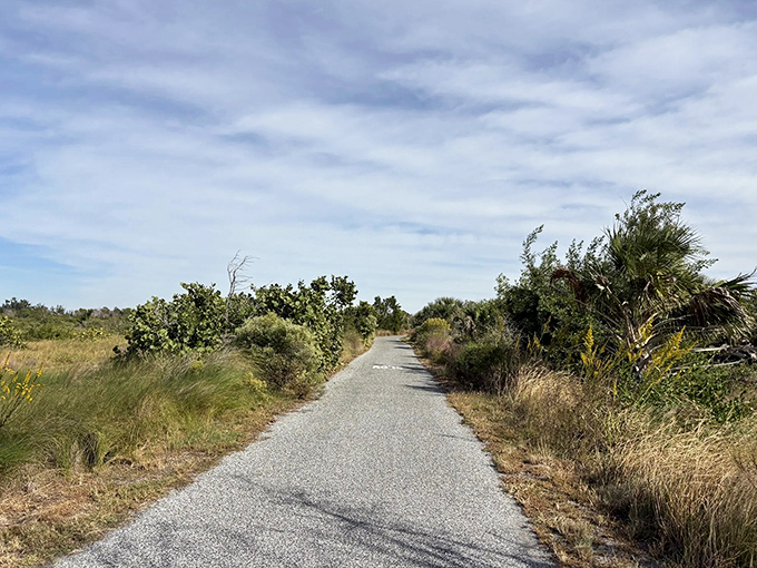 This paved nature trail offers accessibility without sacrificing wilderness &ndash; like Florida decided to roll out the red carpet for nature lovers.