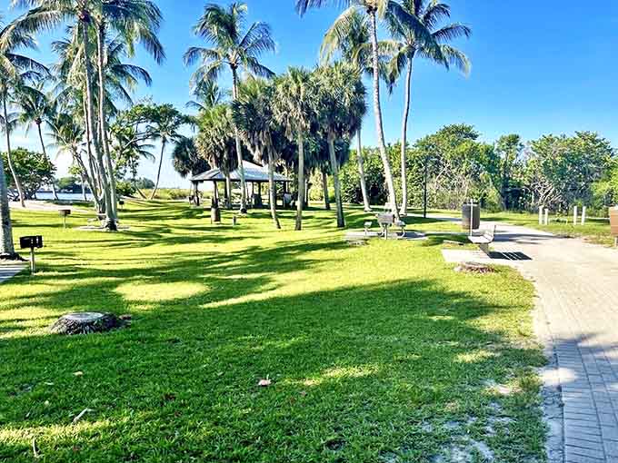 Picnic paradise under swaying palms &ndash; this grassy oasis offers the perfect spot for spreading out blankets and unpacking lunch with a million-dollar view.