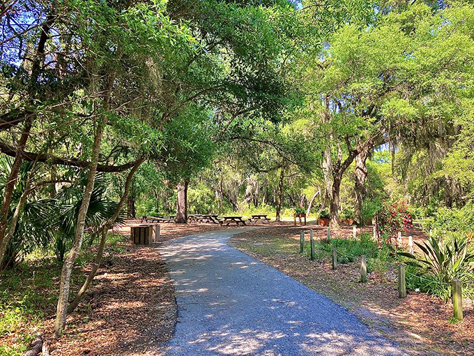 Picnic paradise found! This grove offers shade, serenity, and the perfect excuse to pack that fancy cheese you've been saving.