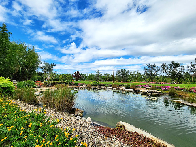 Nature's perfect canvas: water lilies and stone create a serene pond setting that would make even Monet reach for his paintbrush.