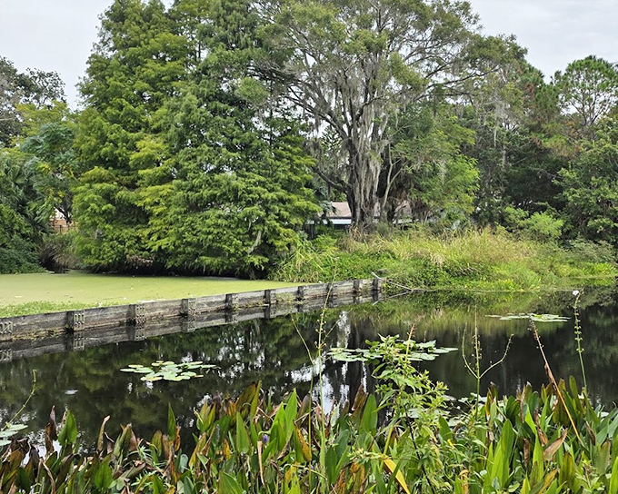 Mirror-like waters reflect the surrounding cypress trees, creating a double dose of natural beauty that changes with every season.