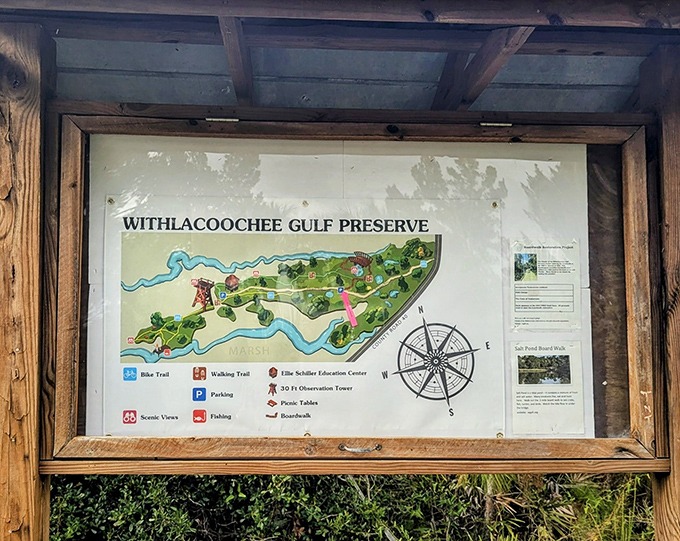 Adventure roadmap: This illustrated guide reveals the preserve's hidden treasures &ndash; no GPS required, just curiosity.