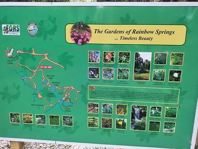 The park map: your treasure guide to finding all the spots where your stress goes to die.