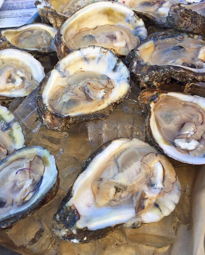 These glistening raw oysters, harvested just miles away, capture the essence of the Gulf in each briny, perfect bite.