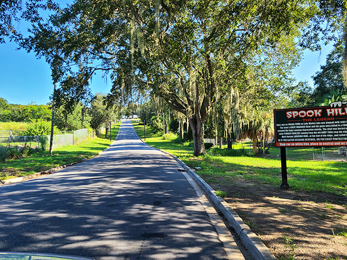 Sunlight dapples through Spanish moss as the informational sign explains the legend behind Spook Hill's supernatural reputation.