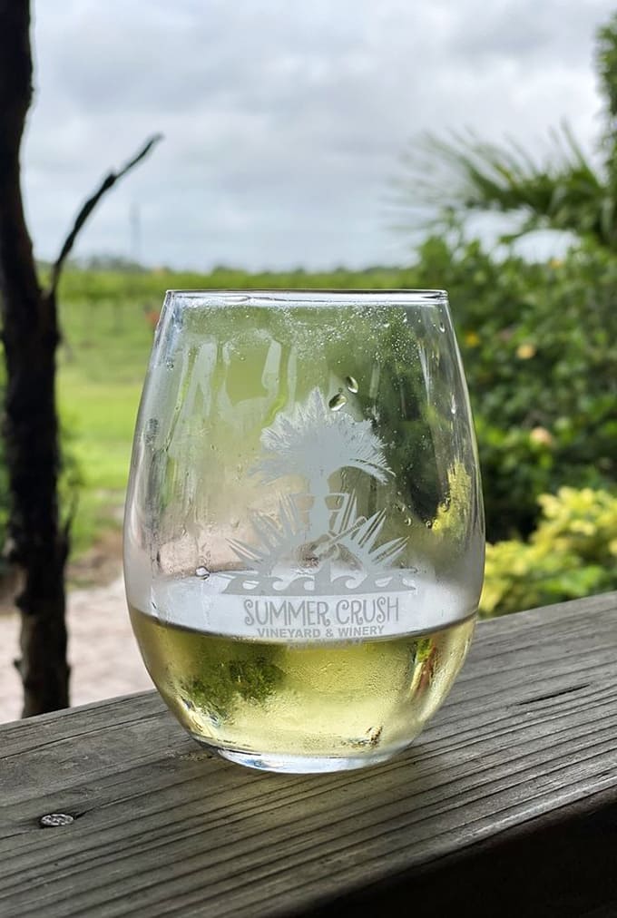 A glass of white wine catches the Florida sunlight, looking refreshingly cold and infinitely more appealing than whatever's in your water bottle.