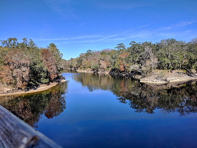 The Suwannee River flows peacefully through lush surroundings, its tea-colored waters holding centuries of stories beneath the surface.