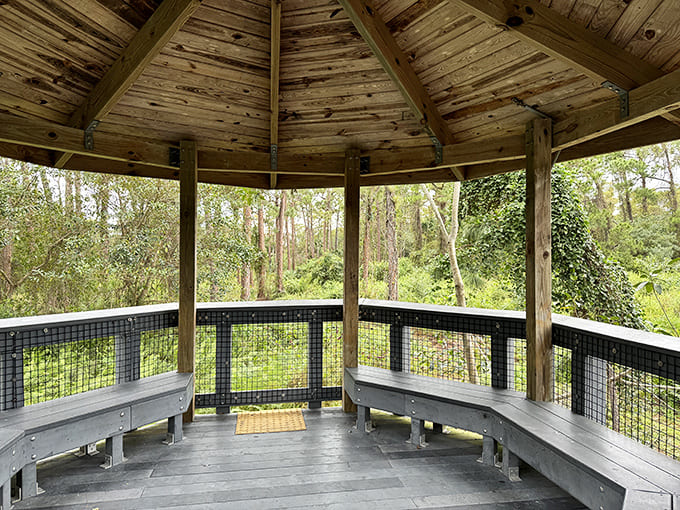 Inside the shelter, benches wait patiently for contemplative souls and tired feet seeking refuge from adventure.