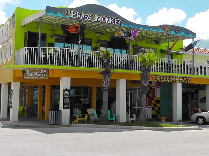 The Brass Monkey stands as a beloved local watering hole where stories flow as freely as the drinks.