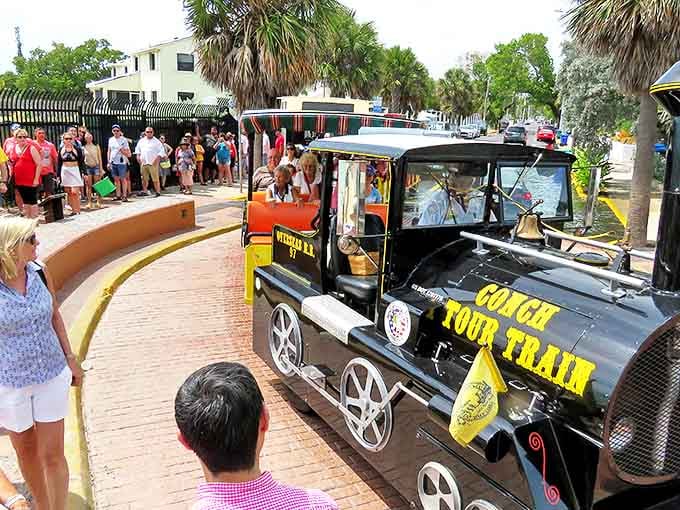Navigating narrow streets where rental cars fear to tread, the train offers views of hidden gardens and historic homes.
