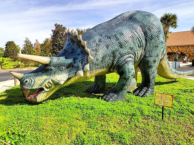 The Triceratops stands guard, looking like the bouncer at history's most exclusive prehistoric club. "Your name's not on the list, mammal."