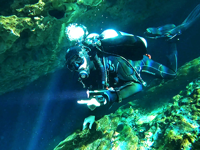 A diver navigates the underwater maze with precision and purpose, exploring chambers that few human eyes will ever witness.