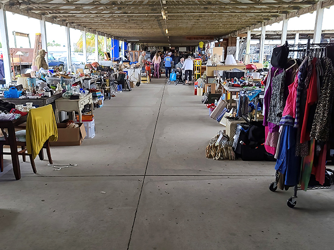 Long aisles of possibility stretch before you, each vendor's space a unique universe of potential discoveries.