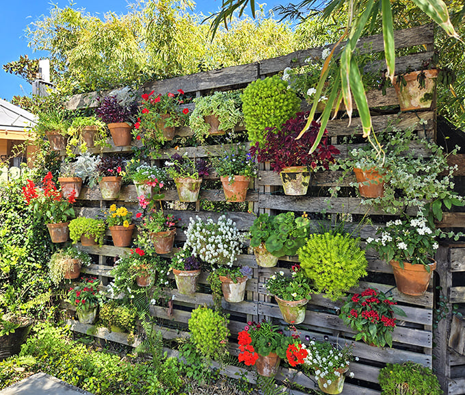 Who knew old pallets could look this good? This vertical garden wall transforms recycled wood into a living tapestry of color.