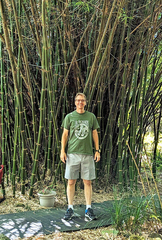 Towering bamboo creates a natural backdrop, making even casual visitors look like they're starring in their own tropical adventure film.