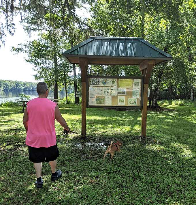 Even four-legged visitors appreciate the informative displays, though they're more interested in the squirrel situation.