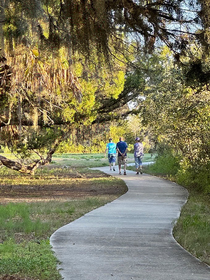 Fellow explorers wander the shaded paths, where Spanish moss creates nature's own air conditioning on hot Florida afternoons.