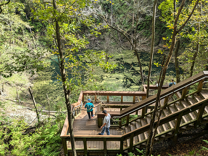 The descent begins &ndash; wooden staircases zigzag down the sinkhole walls, each step taking visitors deeper into a cooler, prehistoric-feeling microclimate.