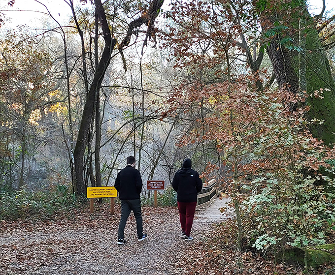 Two explorers pause at nature's crossroads, contemplating which path will lead to the day's best discovery in this autumn-kissed woodland.