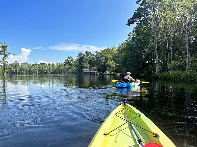 Kayaking the Wakulla isn't just an activity &ndash; it's a front-row seat to Florida's greatest natural show, no ticket required.