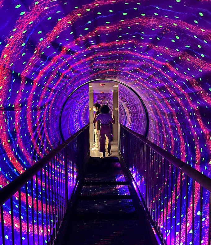 Step into the psychedelic Vortex Tunnel where your brain insists you're falling sideways while your feet remain firmly planted.