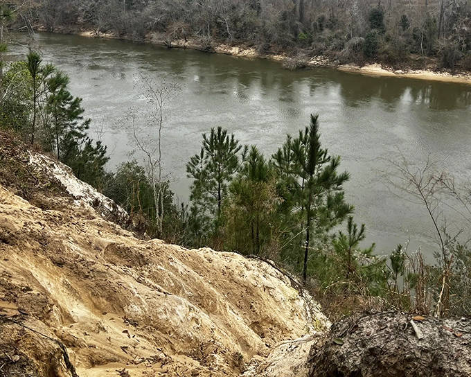 Nature's staircase to the Apalachicola River &ndash; where every step down brings you closer to Florida's geological past.