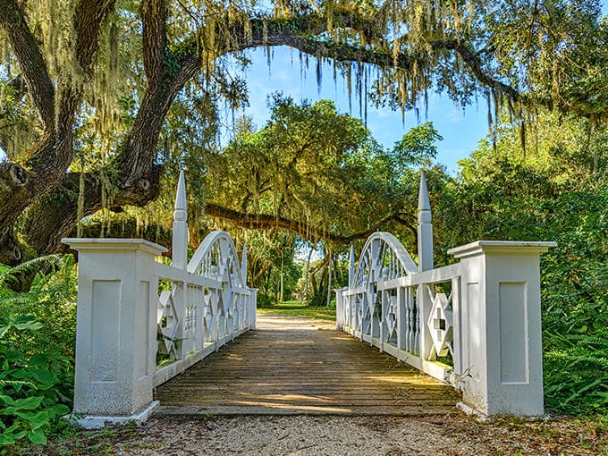 A picturesque white bridge arches gracefully over calm waters, Spanish moss creating nature's own wedding canopy for crossing visitors.