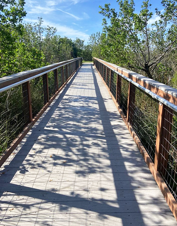 This boardwalk isn't leading to another outlet mall – it's your ticket to Florida's wild side, where the only discount is on human presence.