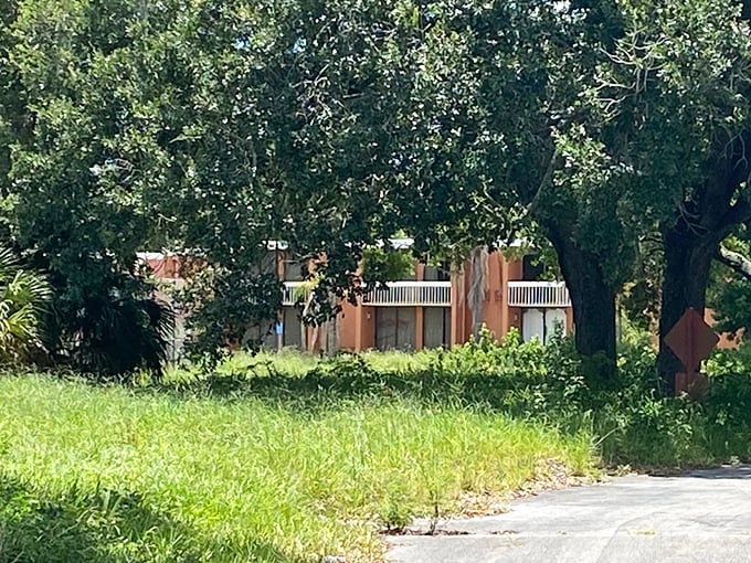 The resort buildings stand in eerie formation, their faded terracotta walls holding secrets of happier times and continental breakfasts long expired.