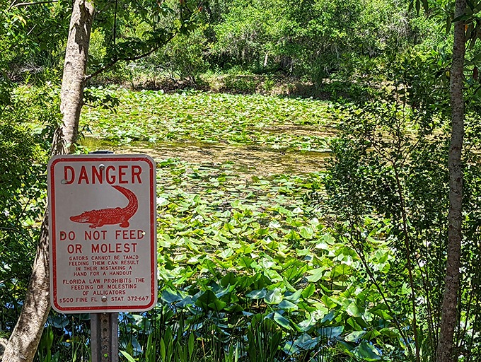 Florida's version of "beware of dog" &ndash; except this resident has considerably more teeth and significantly less interest in belly rubs.