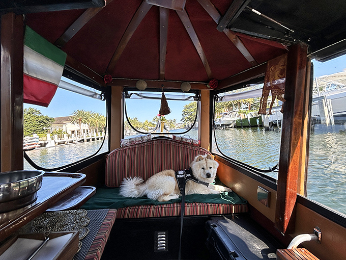 Inside the gondola, plush striped cushions and warm wooden details create an intimate setting for your waterway adventure.
