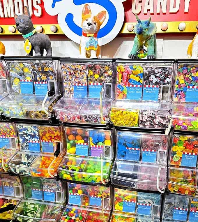 The legendary $5 candy buffet &ndash; democracy in action where every sweet citizen deserves representation in your personal candy congress.