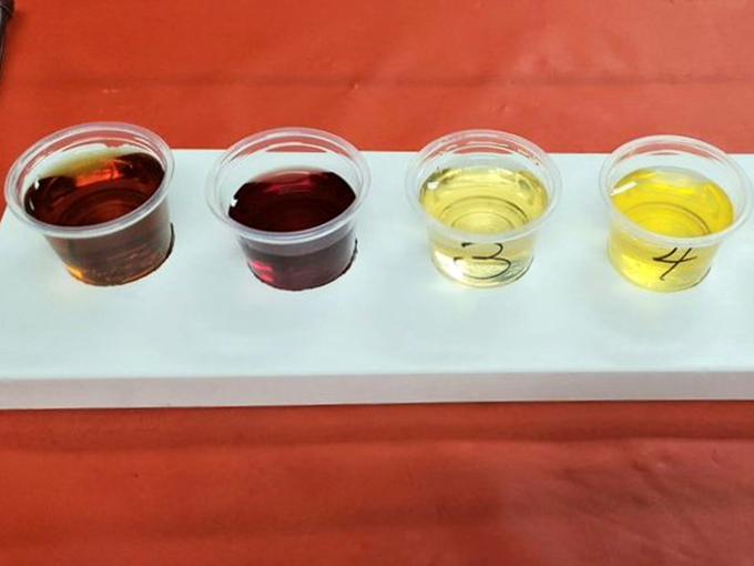 Wine tasting, Florida-style: Four numbered samples await curious palates, ranging from rich amber to pale yellow, each telling its own story.