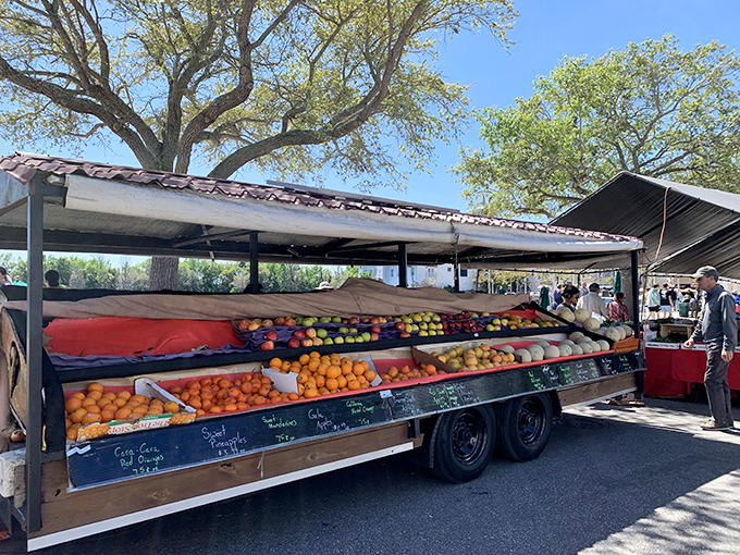 Nature's candy store! This rolling produce stand showcases Florida's agricultural bounty with a rainbow of citrus and seasonal delights.